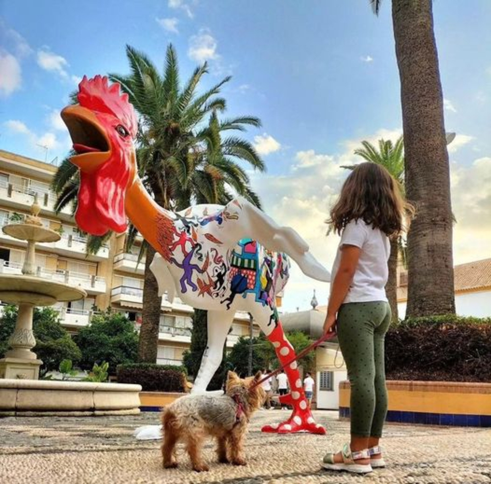 CONCURSO DE FOTOGRAFÍA ONLINE: "EL GALLO Y YO"